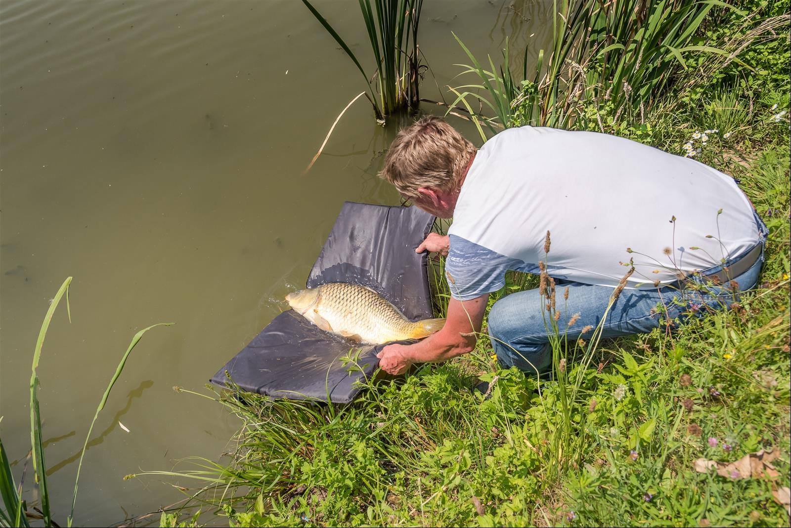 Ribiči iz ŠRD Amur Narta pobjednici Kupa Grada Čazme u ribolovu šarana ...